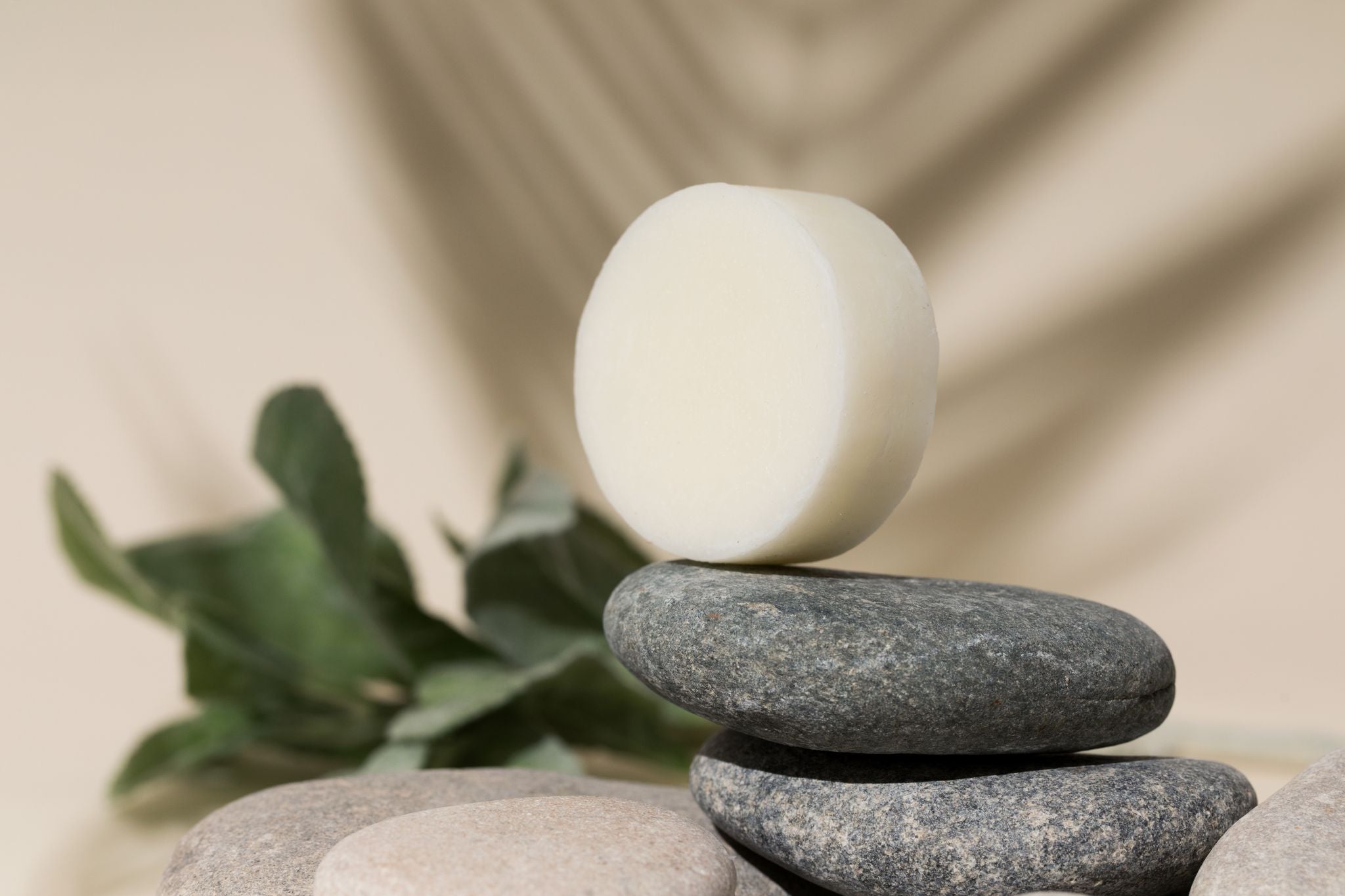 Zero Waste Conditioner Bar | Peppermint | Elevated Earth